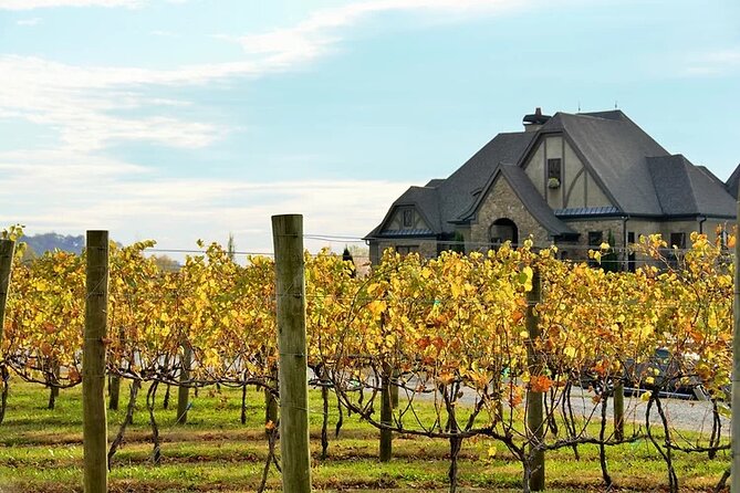 Full-Day Wine Country Wine Tastings From Atlanta - Introduction: What’s the Buzz About This Tour?