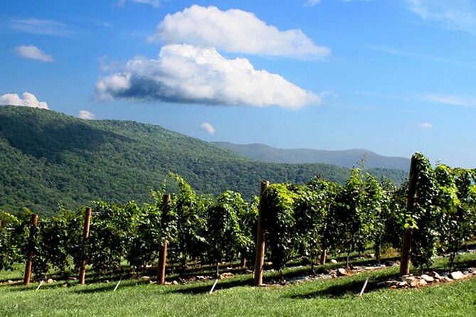 Full-Day Wine Country Wine Tastings From Atlanta - Detailed Breakdown of the Itinerary