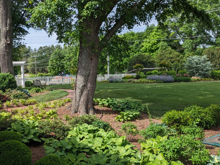 Full Day Winery Tour from Metro DC & Leesburg - 3 Wineries - Transportation and Comfort