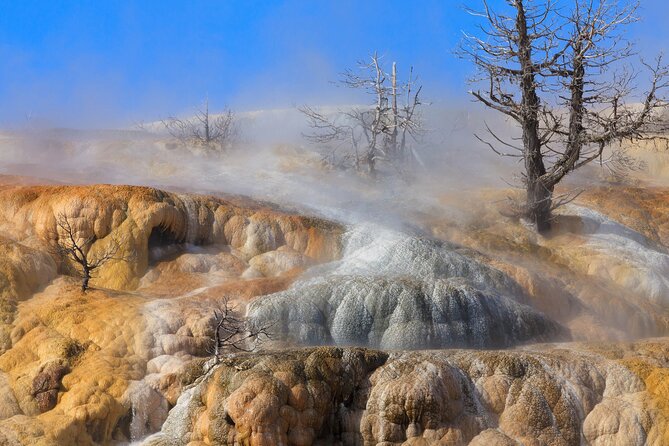 Full Day Yellowstone Nat'l Park Tour From West Yellowstone - Introduction to the Experience