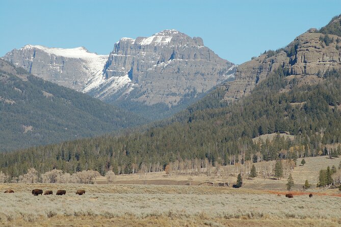 Full-Day Yellowstone Upper (Northern) Loop Tour - Who Will Love This Tour?