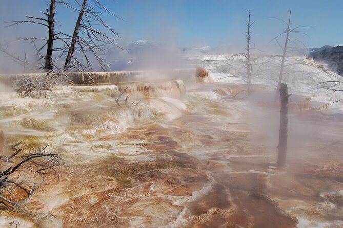Full-Day Yellowstone Upper (Northern) Loop Tour - FAQ