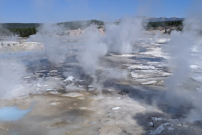 Full-Day Yellowstone Upper (Northern) Loop Tour - Final Thoughts