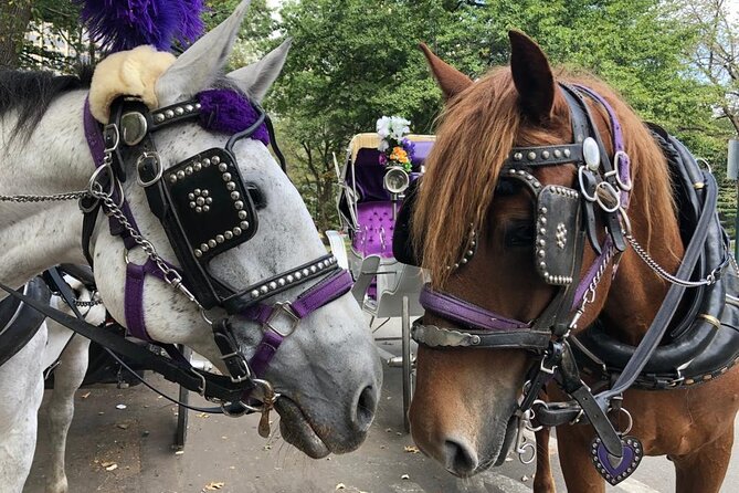 Full loop Private Horse Carriage Ride in Central Park 45 Minutes - How the Tour Is Structured