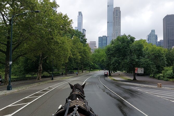 Full loop Private Horse Carriage Ride in Central Park 45 Minutes - The Practical Aspects: Cost, Duration, and Convenience