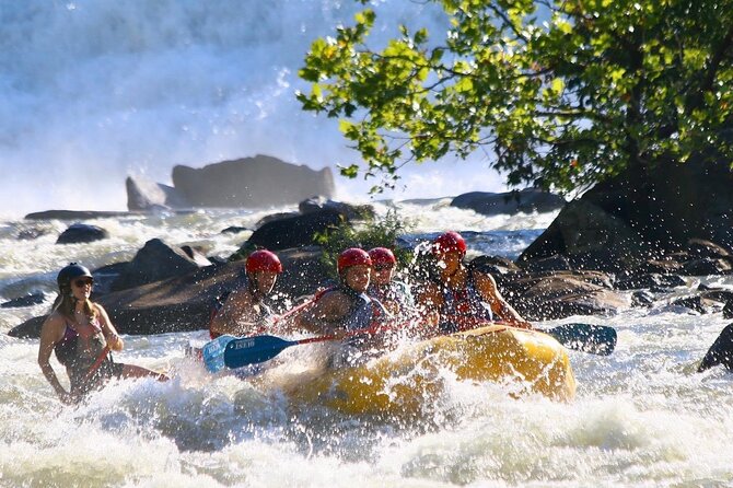 Full Ocoee River Rafting Adventure with a Riverside Lunch - Who Will Love This Trip?