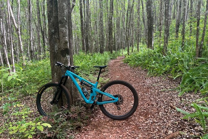 Fun Mountain Bike riding on trails in Maui Hawaii! - Key Points