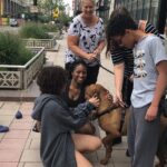 Fun Scavenger Hunt in Jersey City by Zombie Scavengers - Final Thoughts: Is It Worth Trying?