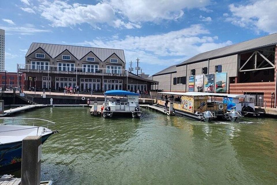 Galveston: Dolphin Watching Boat Tour in Galveston Bay - The Sum Up: Why You’ll Love This Experience