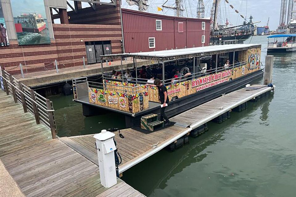 Galveston: Dolphin-Watching Cruise - An In-Depth Look at the Galveston Dolphin-Watching Experience