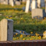 Galveston: Old City Cemetery Walking Tour with Local Guide - Who Will Love This Tour?