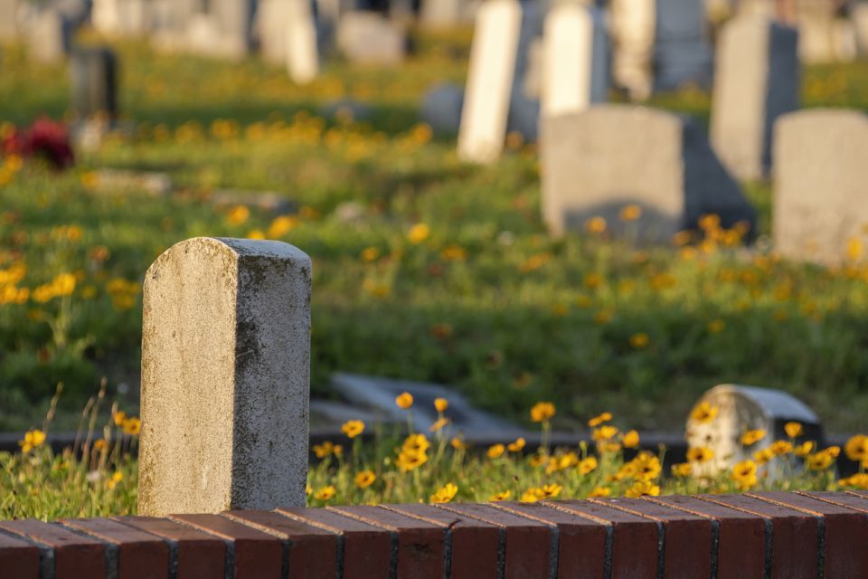 Galveston: Old City Cemetery Walking Tour with Local Guide - Who Will Love This Tour?