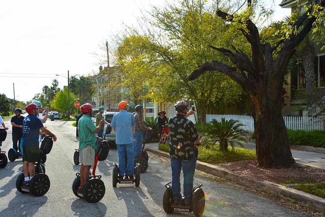 Galveston Tree Carvings Segway Tour - The Sum Up