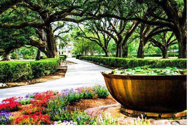 Garden District History and Homes Walking Tour - A Complete Look at the Garden District History and Homes Walking Tour