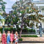 Garden District Walking Tour - Who Will Love This Tour?