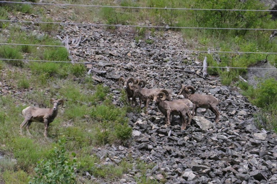 Gardiner: Scenic Raft Float on the Yellowstone River - Key Points