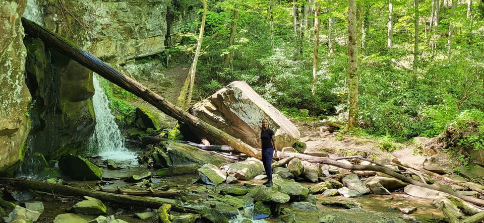 Gatlinburg: Great Smoky Mts National Park Waterfall Tour - Who Should Consider This Tour?