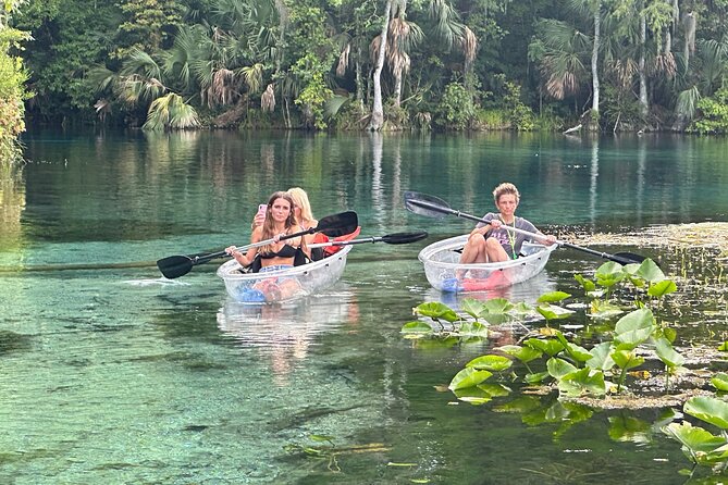 Gator Viewing Clear Kayak Springs Tour - Key Points