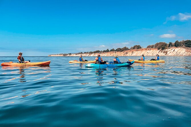 Gaviota Coast Kayak Tour Near Santa Barbara (3.5 Hours) - The Gear and Safety: What’s Included and What to Bring