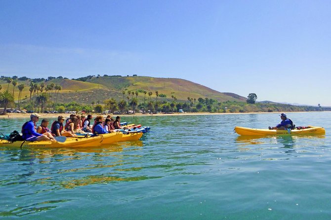 Gaviota Coast Kayak Tour Near Santa Barbara (3.5 Hours) - Group Size, Timing, and Booking Tips