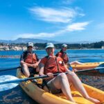Gaviota Coast Kayak Tour Near Santa Barbara (3.5 Hours) - Authentic Encounters and Review Highlights