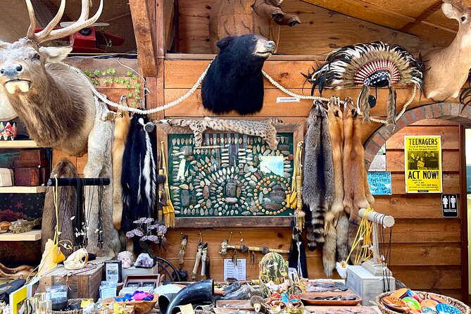 Gem Mining and Goat Farm Walking Tour in Hendersonville - Who Should Consider This Tour?