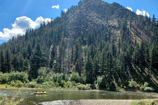 Gentle Whitewater Float on the Salmon River - The Landscape and Wildlife