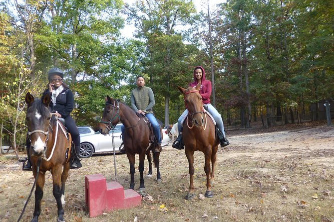 Georgia Horseback Ride with Wine Tasting - Introduction: What’s on Offer