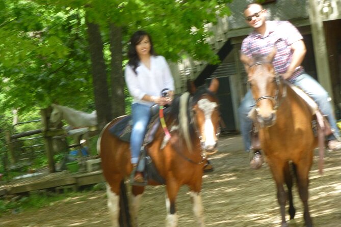 Georgia Horseback Ride with Wine Tasting - Value & Cost Analysis