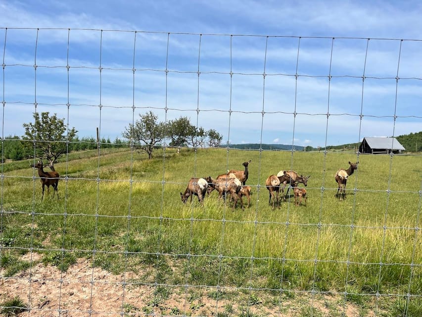Gettysburg: Horse-Drawn Carriage Tour Countryside & Orchards - What to Expect on the Tour