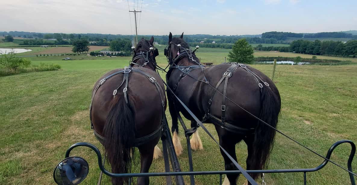Gettysburg: Horse-Drawn Carriage Tour Countryside & Orchards - The Ride and Its Highlights