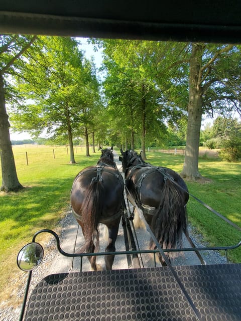 Gettysburg: Horse-Drawn Carriage Tour Countryside & Orchards - Pricing and Value