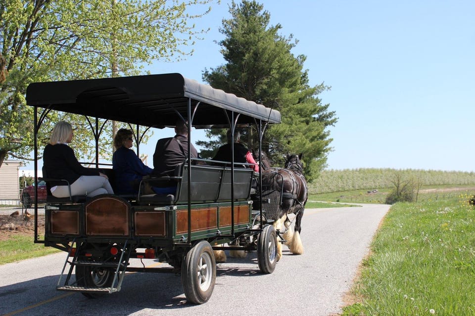 Gettysburg: Horse-Drawn Carriage Tour Countryside & Orchards - Final Thoughts