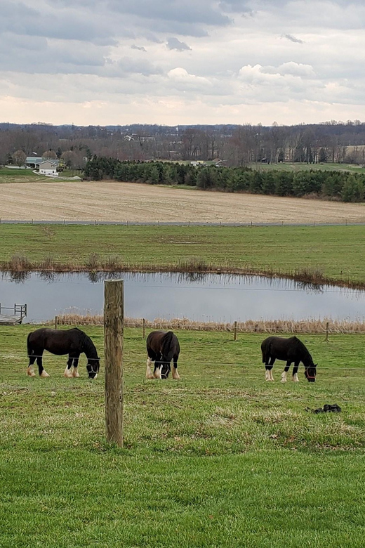 Gettysburg: Horse-Drawn Carriage Tour Countryside & Orchards - FAQ