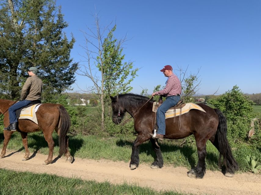 Gettysburg: Licensed Guided Battlefield Horseback Tour - Key Points