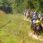 Gettysburg: Licensed Guided Battlefield Horseback Tour - Why You Should Book This Tour