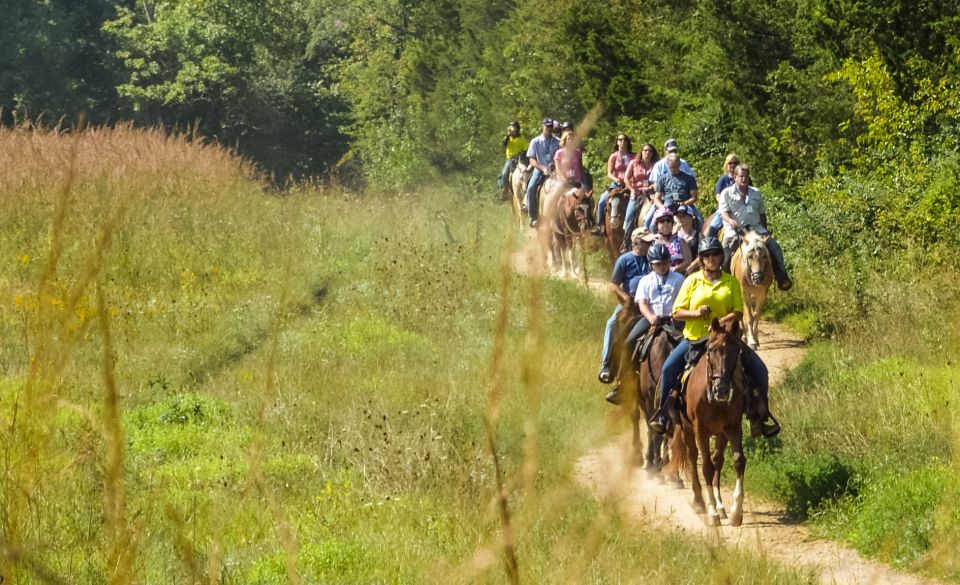 Gettysburg: Licensed Guided Battlefield Horseback Tour - Why You Should Book This Tour