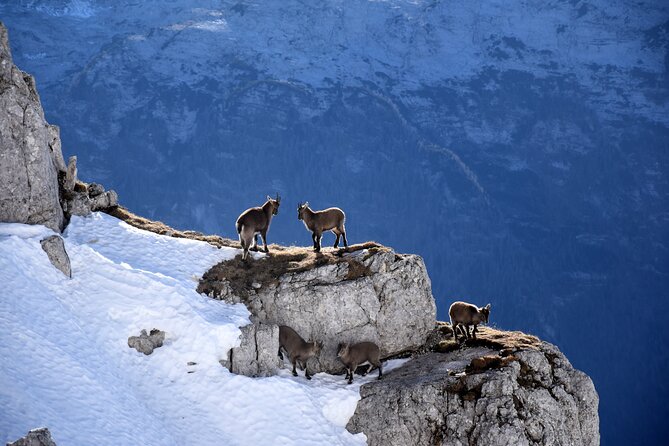 Ghost Town & Scenic Mountain Tour - Who Should Consider This Tour?