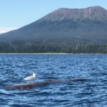 Ghosts of Historic Sitka - Walking Tour - Why This Tour Works Well for Different Travelers