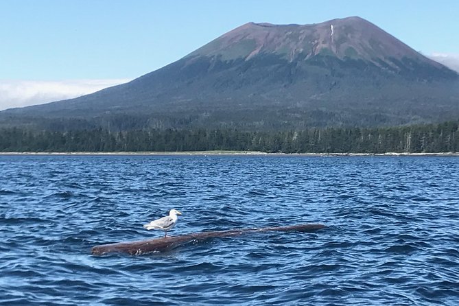 Ghosts of Historic Sitka - Walking Tour - Why This Tour Works Well for Different Travelers
