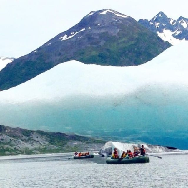 Girdwood: Bears, Trains, & Icebergs Tour - The Itinerary and What to Expect