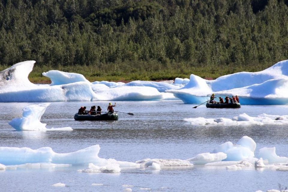 Girdwood: Bears, Trains, & Icebergs Tour - Authentic Review Insights