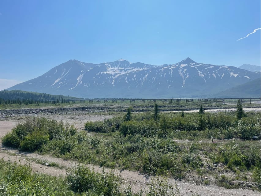 Glacial Lake, Waterfall and rainforest. Beauty of Turnagain! - An In-Depth Look at the Turnagain Arm Tour