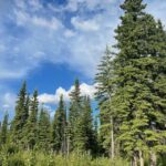 Glacial Lake, Waterfall and rainforest. Beauty of Turnagain! - Who Will Love This Tour?