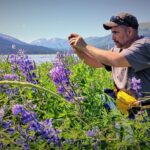 Glacier Hike on Matanuska Glacier - Best Vacation Value - Why Is This Tour a Great Value?