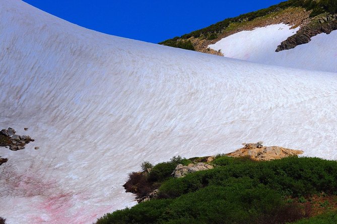 Glacier Hiking & Geothermal Cave Pools Tour - What Makes This Tour Stand Out?