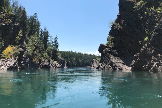 Glacier National Park Scenic Float - The Views and Wildlife: What You Will See