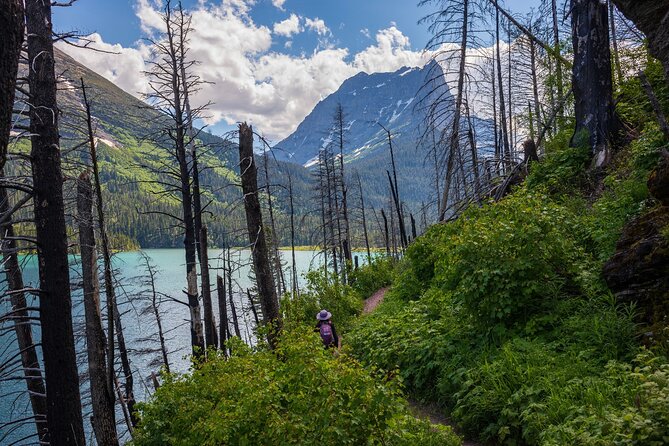 Glacier National Park Self-Guided Driving Audio Tour - In-Depth Look at the Glacier National Park Self-Guided Driving Audio Tour