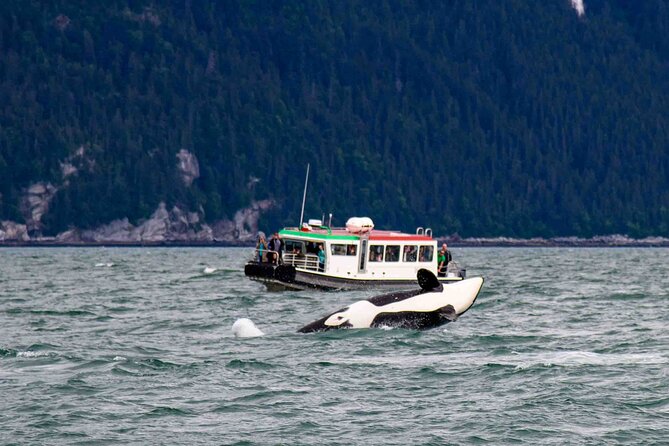 Glacier Point Wilderness Safari - FAQs
