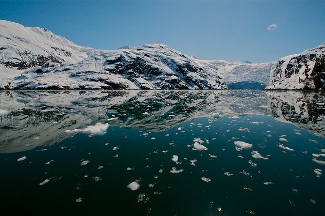 Glacier Quest Cruise and Coach Package - Who Should Consider This Tour?